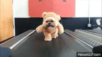 Enjoying GIFs - Get the best gif on GIFER