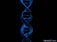 Dna GIFs - Get the best gif on GIFER