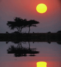 Scenery GIFs - Get the best gif on GIFER