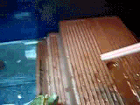 Backflips GIFs - Get the best gif on GIFER