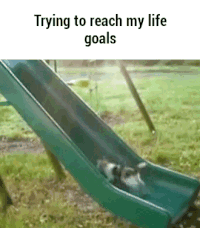 Goals GIFs - Get the best gif on GIFER