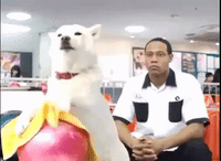 Polishing GIFs - Get the best gif on GIFER