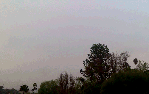 Qed гифки, анимированные GIF изображения qed - скачать гиф картинки на ...