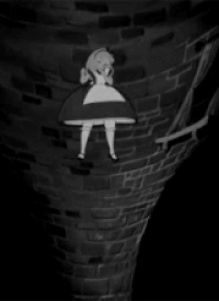 Newsletter GIFs - Get the best gif on GIFER