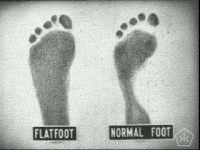 Humanities GIFs - Get the best gif on GIFER