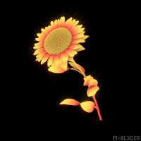 Sunflowers GIFs - Get the best gif on GIFER