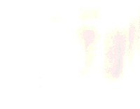 Zine GIFs - Get the best gif on GIFER