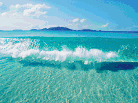 Vacations GIFs - Get the best gif on GIFER