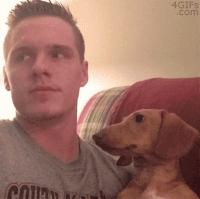 Traffic cone GIFs - Get the best gif on GIFER