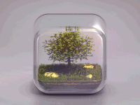 Terrarium GIFs - Get the best gif on GIFER