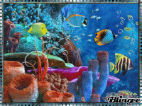 Coral GIFs - Get the best gif on GIFER