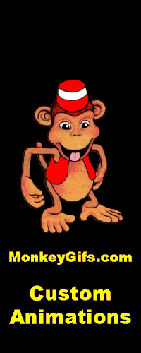 Monkey GIFs - Get the best gif on GIFER