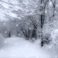 Снегопад гифки, анимированные GIF изображения снегопад - скачать гиф ...