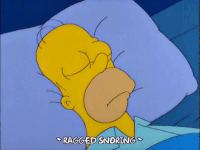 Snore GIFs - Get the best gif on GIFER