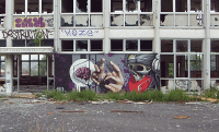 Urban GIFs - Get the best gif on GIFER