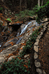 Valley GIFs - Get the best gif on GIFER