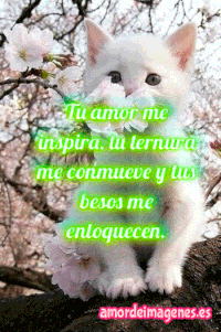 Phrasing GIFs - Get the best gif on GIFER