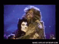 Mi GIFs - Get the best gif on GIFER