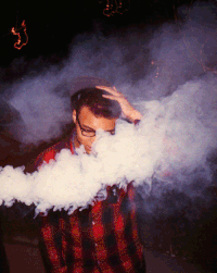 Taming GIF - Conseguir o melhor gif em GIFER