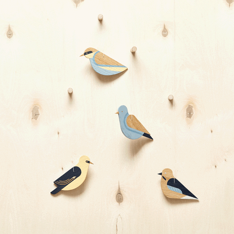 Projekt dzioopla GIFs - Get the best gif on GIFER