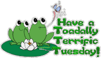 Tuesday GIFs - Get the best gif on GIFER