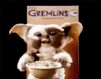 Gizmo GIFs - Get the best gif on GIFER