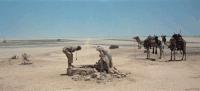 Desert GIFs - Get the best gif on GIFER