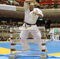 Karate GIFs - Get the best gif on GIFER