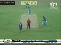 Cricket GIFs - Get the best gif on GIFER