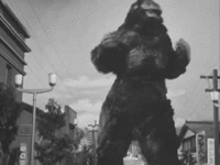 Goro GIFs - Get the best gif on GIFER