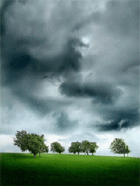 Blitz GIFs - Get the best gif on GIFER