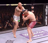 Yoel GIFs - Get the best gif on GIFER