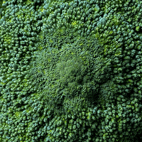 Broccoli GIFs - Get the best gif on GIFER
