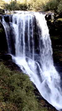 Video GIFs - Get the best gif on GIFER