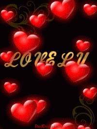 Lovely GIFs - Get the best gif on GIFER