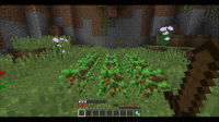 Rupees GIFs - Get the best gif on GIFER