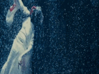 Memoir GIFs - Get the best gif on GIFER