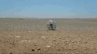 Landmine GIFs - Get the best gif on GIFER