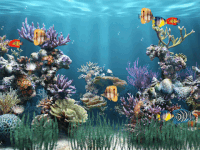 Animated Fish Tank Gif