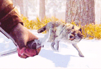 Intimidating GIFs - Get the best gif on GIFER