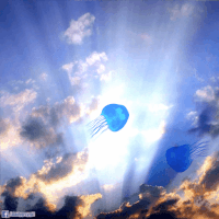 Azure GIFs - Get the best gif on GIFER