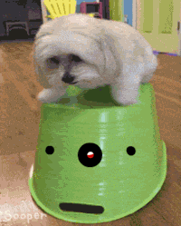 Puking GIFs - Get the best gif on GIFER