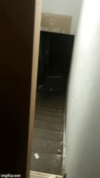 Rectangular GIFs - Get the best gif on GIFER