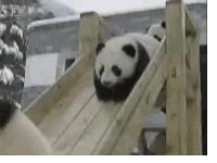 Path GIFs - Get the best gif on GIFER