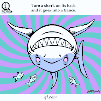 Fun fact GIFs - Get the best gif on GIFER