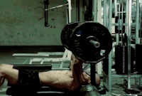 Bearded GIFs - Get the best gif on GIFER