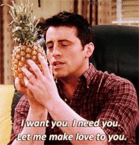 Standards GIFs - Get the best gif on GIFER