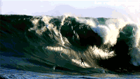 Tasmania GIFs - Get the best gif on GIFER