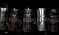 Swat GIFs - Get the best gif on GIFER