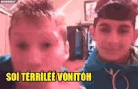 Flaites GIFs - Get the best gif on GIFER